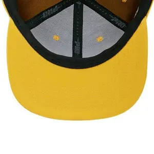 PRO STANDARD Prairie View A&m Panthers Evergreen Prairie View Snapback Hat