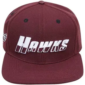 PRO STANDARD Maryland Eastern Shore Hawks Evergreen Hawks Snapback Hat
