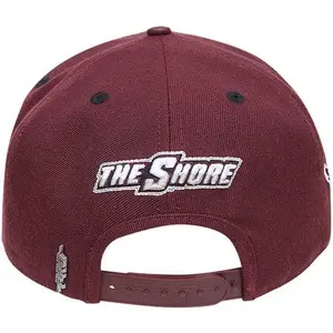 PRO STANDARD Maryland Eastern Shore Hawks Evergreen Hawks Snapback Hat