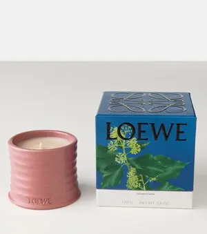 Loewe Ivy Small Candle