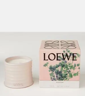Loewe Oregano Small Scented Candle