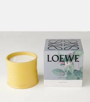 Loewe Honeysuckle Medium Candle