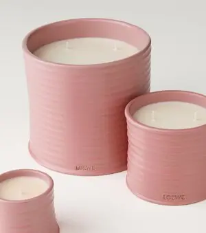 Loewe Ivy Medium Candle - Pink