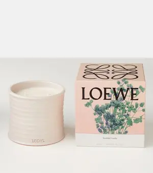 Loewe Oregano Medium Scented Candle