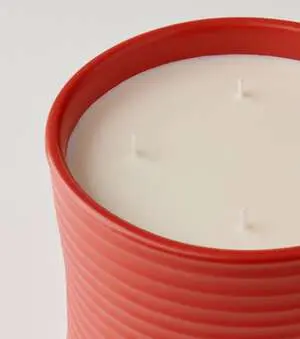 Loewe Tomato Leaves Large Scented Candle