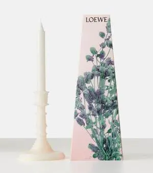 Loewe Oregano Scented Candle