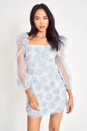 LoveShackFancy Wells Mini Dress