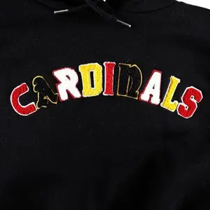 THE WILD COLLECTIVE Arizona Cardinals Cropped Pullover Hoodie