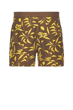 Saint Laurent Swim Shorts