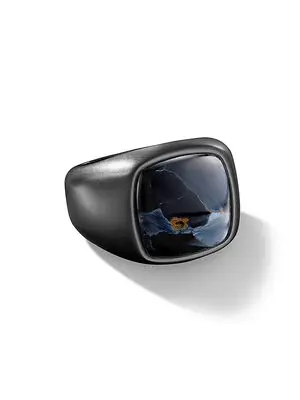 David Yurman Men's Exotic Stone Signet Ring In Black Titanium - Black Onyx  - Pietersite