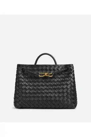 Bottega Veneta Medium Andiamo