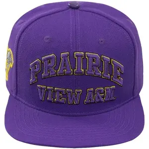 PRO STANDARD Prairie View A & M Panthers Evergreen Prairie View Snapback Hat