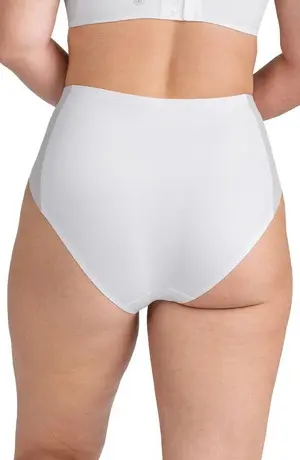 HONEYLOVE Crossover Briefs - Astral