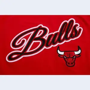 PRO STANDARD Chicago Bulls Script Tank Top
