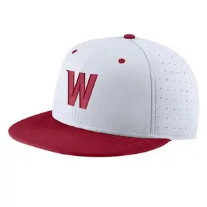 Nike Washington State Cougars Aero True Baseball Performance Fitted Hat