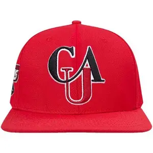 PRO STANDARD Clark Atlanta University Panthers Evergreen Cau Snapback Hat