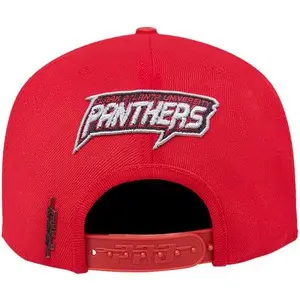 PRO STANDARD Clark Atlanta University Panthers Evergreen Cau Snapback Hat