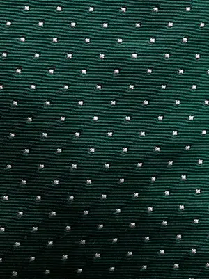 FURSAC Polka-dot Silk Neck Tie