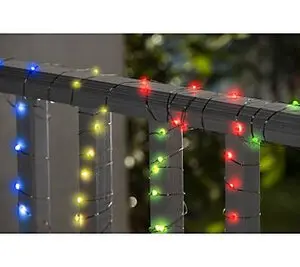EVERLASTING GLOW Rbg Battery Operated Smart Led Light String Erson Co - One-color