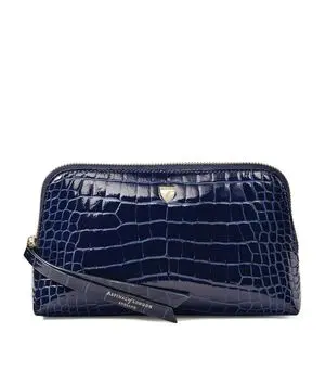 ASPINAL OF LONDON Small Leather Essential Cosmetic Case