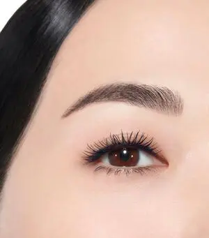 Chanel Mascara