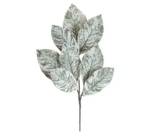 MELROSE Frosted Magnolia Leaf Spray - One-color
