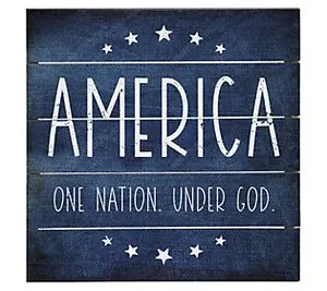 SINCERE SURROUNDINGS 8' America One Nation Pall T Petite - One-color
