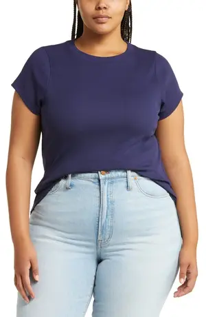 Madewell Supima® Cotton Rib T-shirt Fresh Blueberry