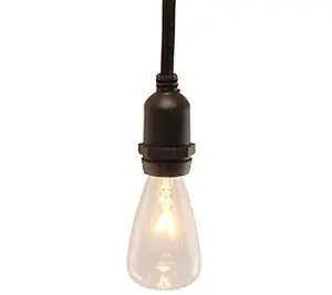 LUMABASE 12 Light Edison-style Outdoor Electric String Lights - One-color