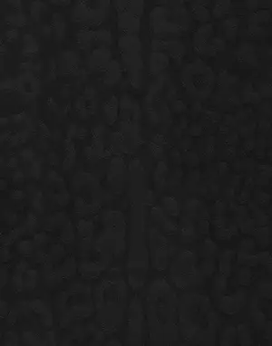Dolce & Gabbana Wallpaper
