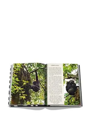 Assouline African Adventures: The Greatest Safari On Earth Book
