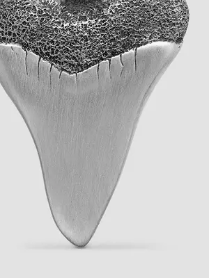 David Yurman Shark Tooth Amulet In 25.8mm