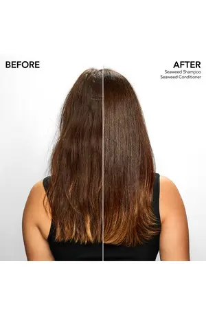 BUMBLE AND BUMBLE Seaweed Conditioner