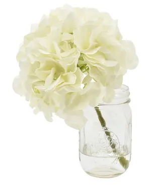 Creative Displays Creative Displays Hydrangeas Floral Arrangement In Mason Jar - Nocolor