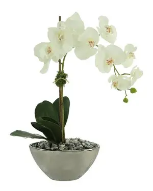 Creative Displays Creative Displays White Orchid Floral Arrangement - Multi