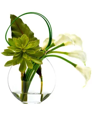 Creative Displays Creative Displays White Calla Lily & Succulent Floral Arrangement - Nocolor