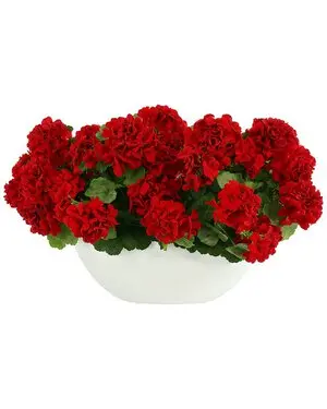 Creative Displays Discontinued Creative Displays Uv Protected Outdoor Red Geranium Flower Arrangement - Red