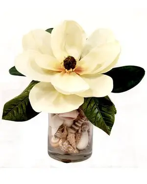 Creative Displays Creative Displays Magnolia In Glass Vase With Shells - Cream