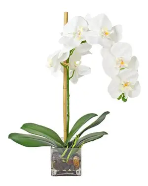 Creative Displays Creative Displays Orchid In Square Glass Vase - White