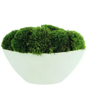 Creative Displays Creative Displays Lush Moss Floral Display - White