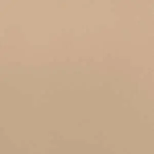 SKIMS Mid Waist Thong | Light Neutral | Large | Seamless Sculpt - Clay