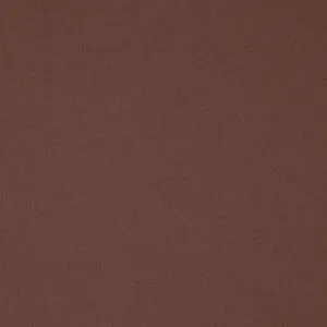 SKIMS Push Up Bra | Medium Neutral | | Fits Everybody - Jasper