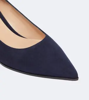 GIANVITO ROSSI Piper Pumps - Blue