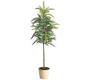 NEARLY NATURAL 3.5-ft Winniepeg Pine Tree & Dec Rative Planter