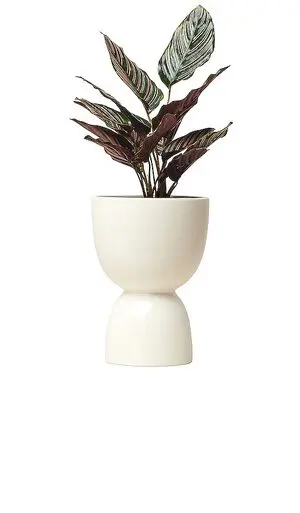 FRANCA NYC Medium Stacked Planter