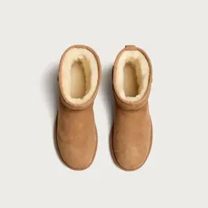 UGG Classic Mini Ii Boot - Chestnut