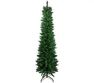 NORTHLIGHT 6' Northern Balsam Fir Christmas Tre - One-color
