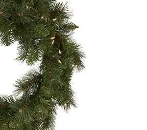 NORTHLIGHT Mixed Beaver Pine 24' Christmas Wrea Th Clear Light