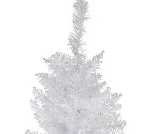 NORTHLIGHT 6' Pencil White Spruce Christmas Tre