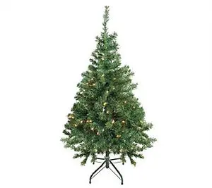 NORTHLIGHT 4' Niagara Pine Medium Christmas Tre Clear Lights - One-color